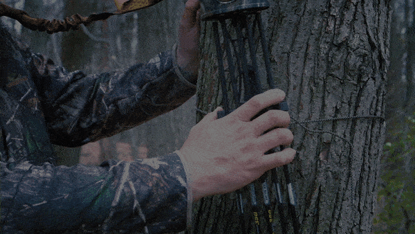 How To Use – The Bark Shark